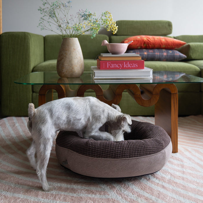 Chestnut Donut Dog Bed - Soft & Durable, Sizes S & M – Chester & Lee